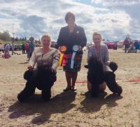 Judge Listing - Mrs Dayna Johnston