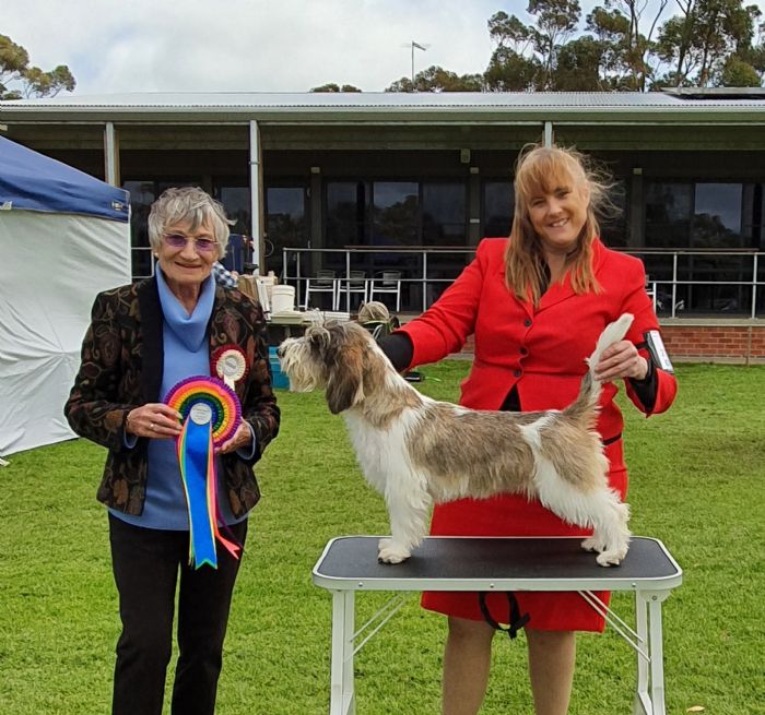 AUSTRALIAN DOG SHOW SCENE PTY LTD (Sat AM) - Show Manager Results