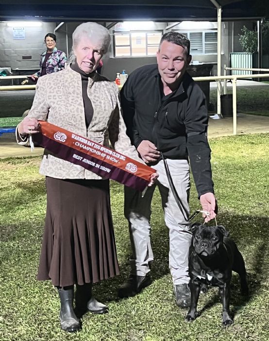 Staffordshire Bull Terrier Club Of QLD Inc - Show Manager Results