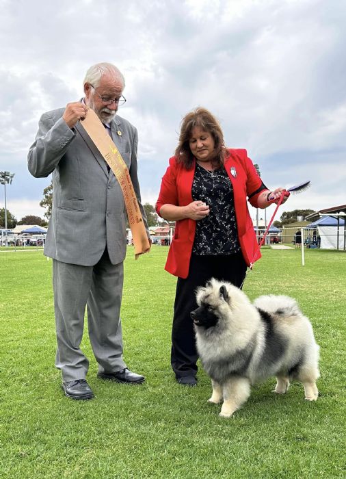Australian Dog Show Scene Pty Ltd (Show 1) - Show Manager Results